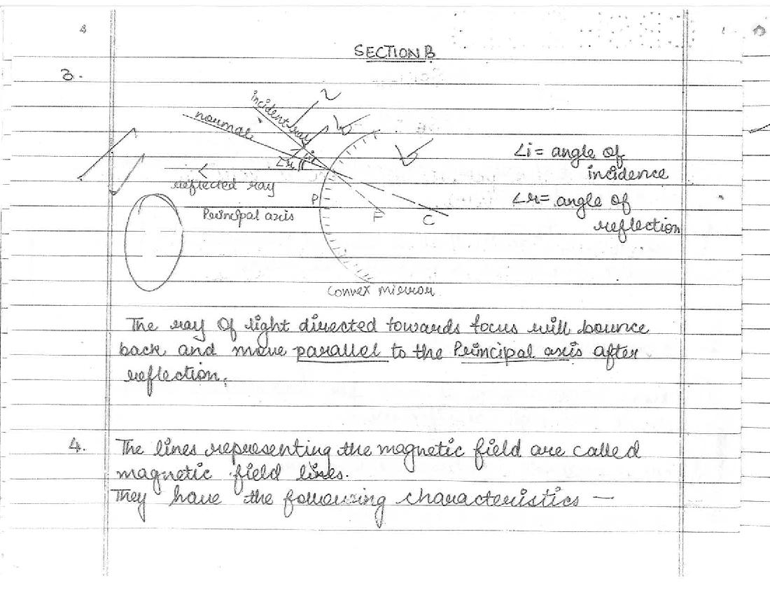 Cbse Topper Answer Sheet For Class Science Year 20492 Hot Sex Picture