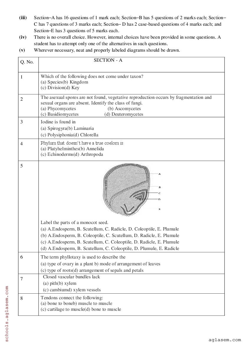 CBSE Class 11 Biology Sample Paper 2024 PDF