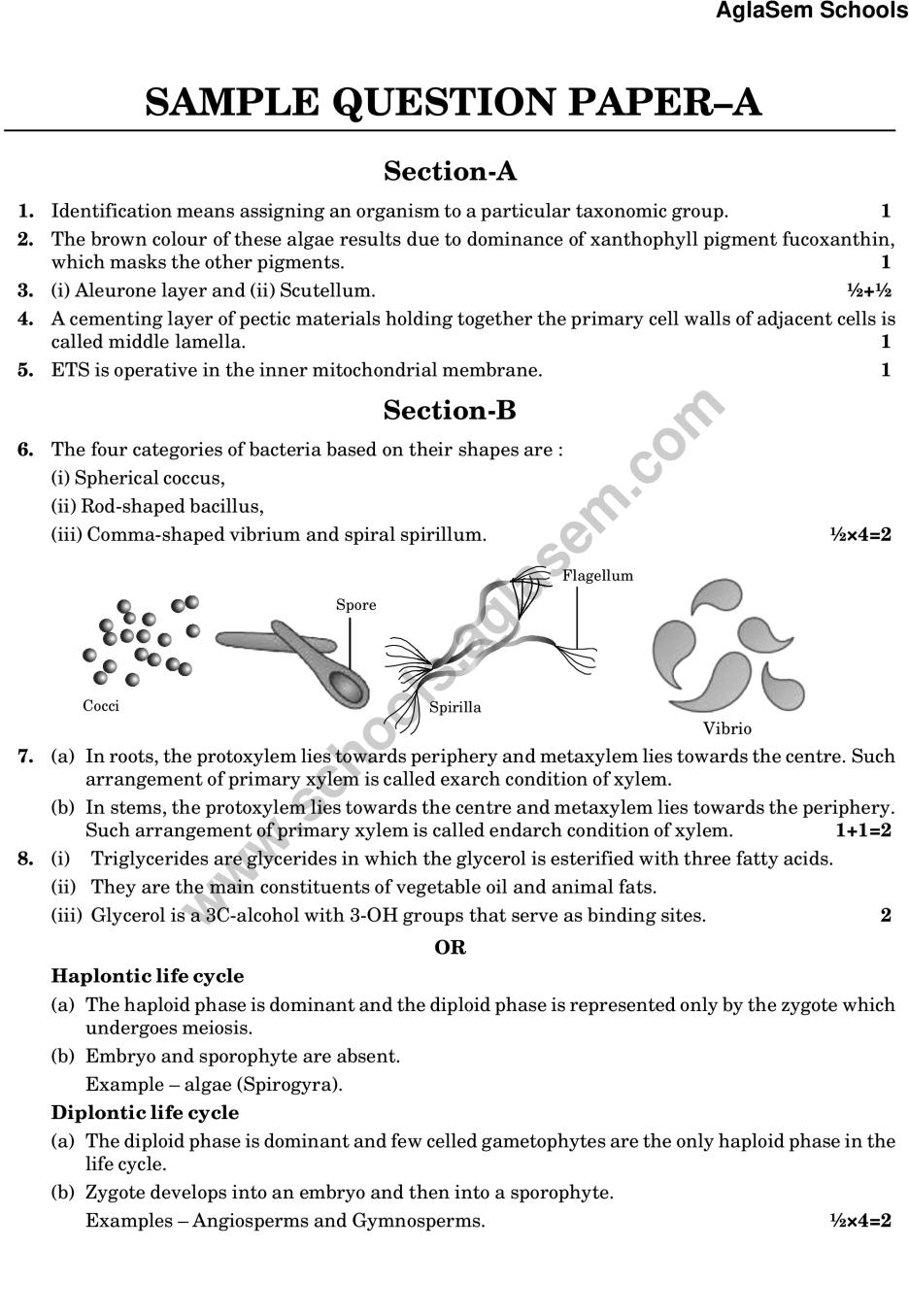CBSE Class 11 Sample Paper For Biology Set A CBSE Class 11 Sample Paper For Biology Set A