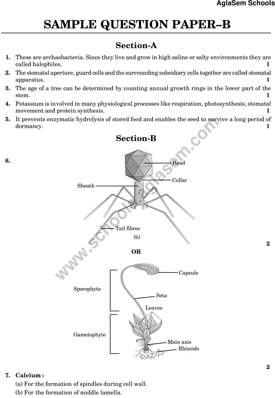 CBSE Class 11 Sample Paper For Biology Set B