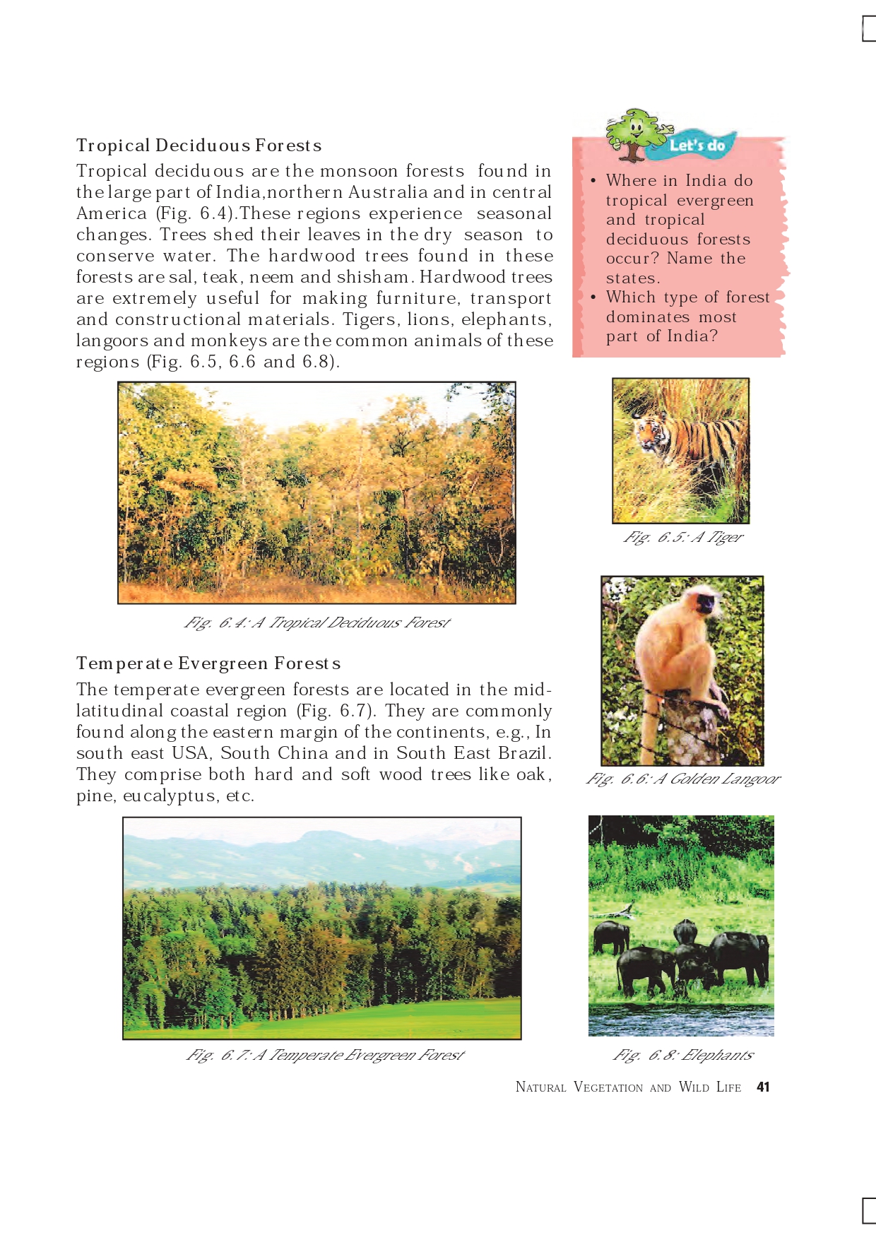 CGBSE Class 7th Geography Book PDF in English Medium - Download Online ...