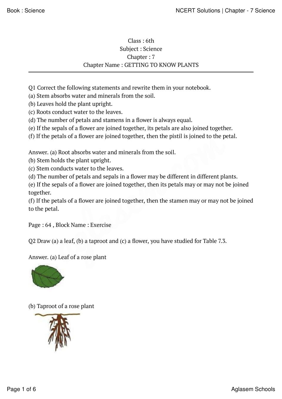 NCERT Solutions Class 6 Science Chapter 7 Getting To Know Plants NCERT Solutions Class 6 Science Chapter 7 Getting To Know Plants