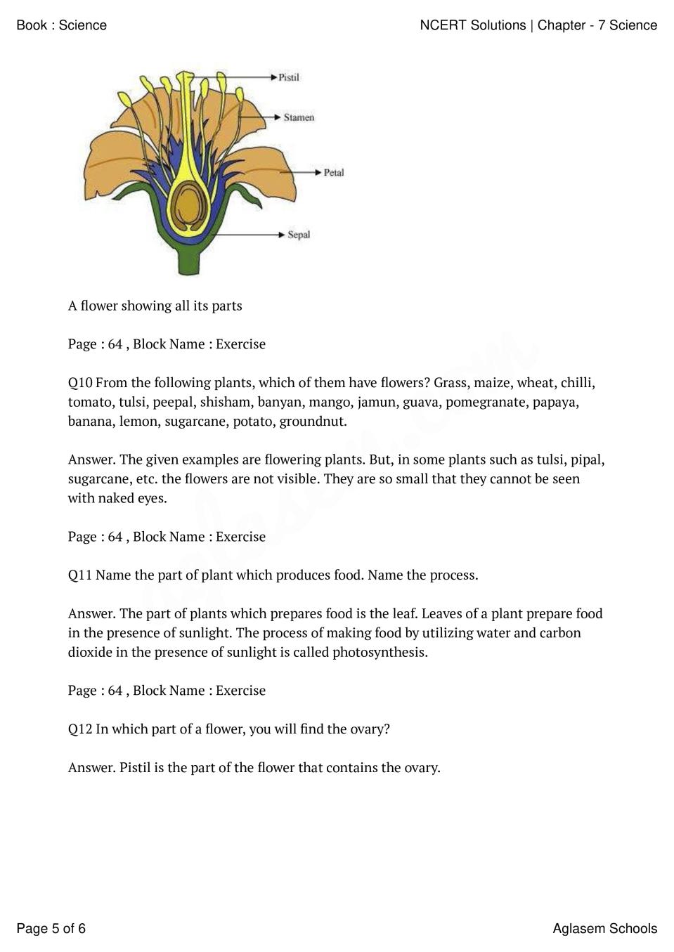 NCERT Solutions 2025 Class 6 Science Chapter 4 Getting To Know Plants NCERT Solutions 2025 Class 6 Science Chapter 4 Getting To Know Plants