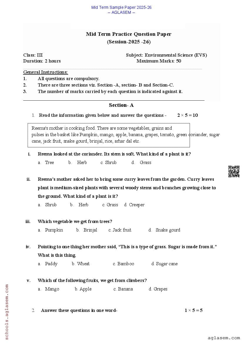 Class 3 EVS Mid Term Sample Paper 2025 PDF | Download PT1 / Term 1 Practice Paper - AglaSem