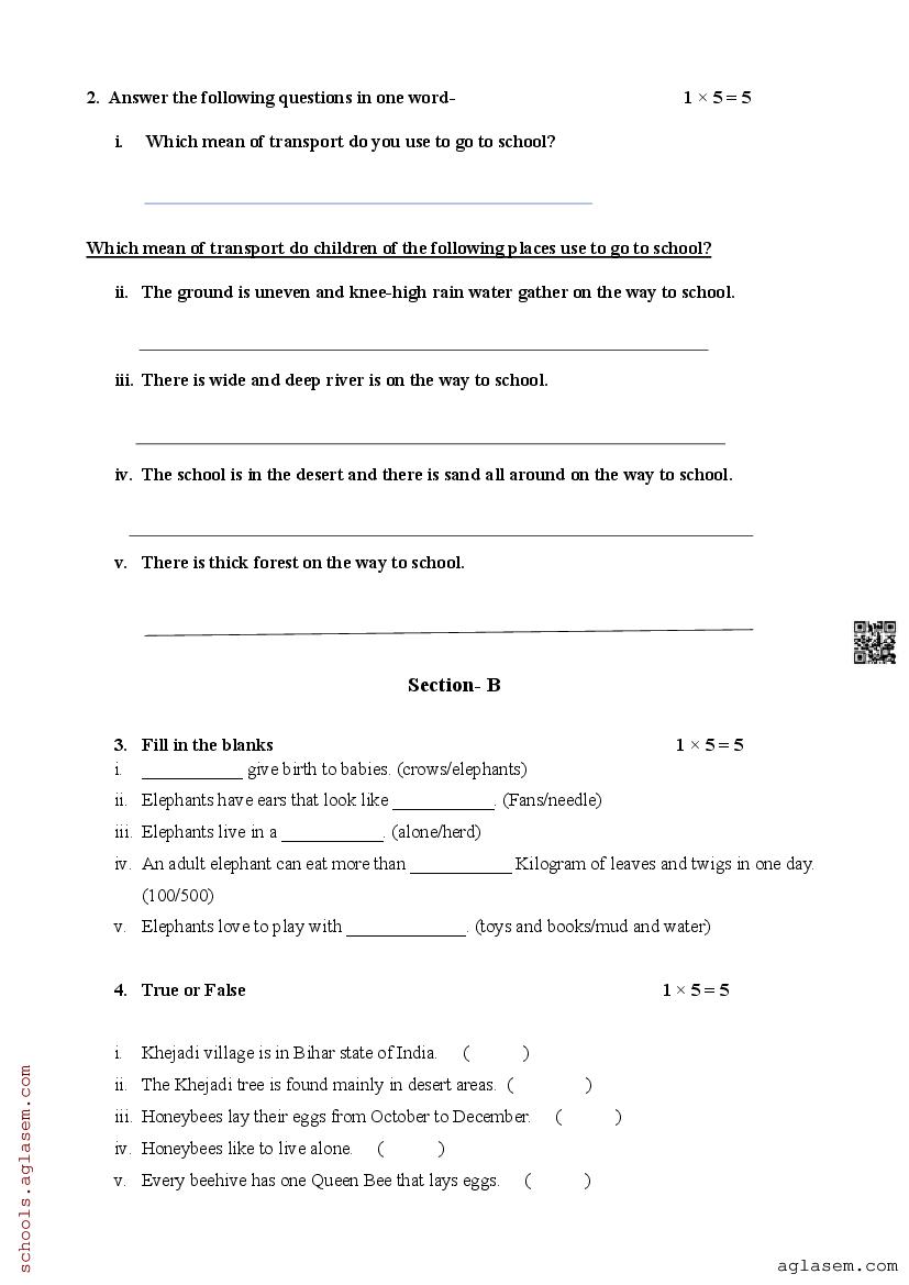 Class 4 EVS Mid Term Sample Paper 2025 PDF | Download PT1 / Term 1 ...