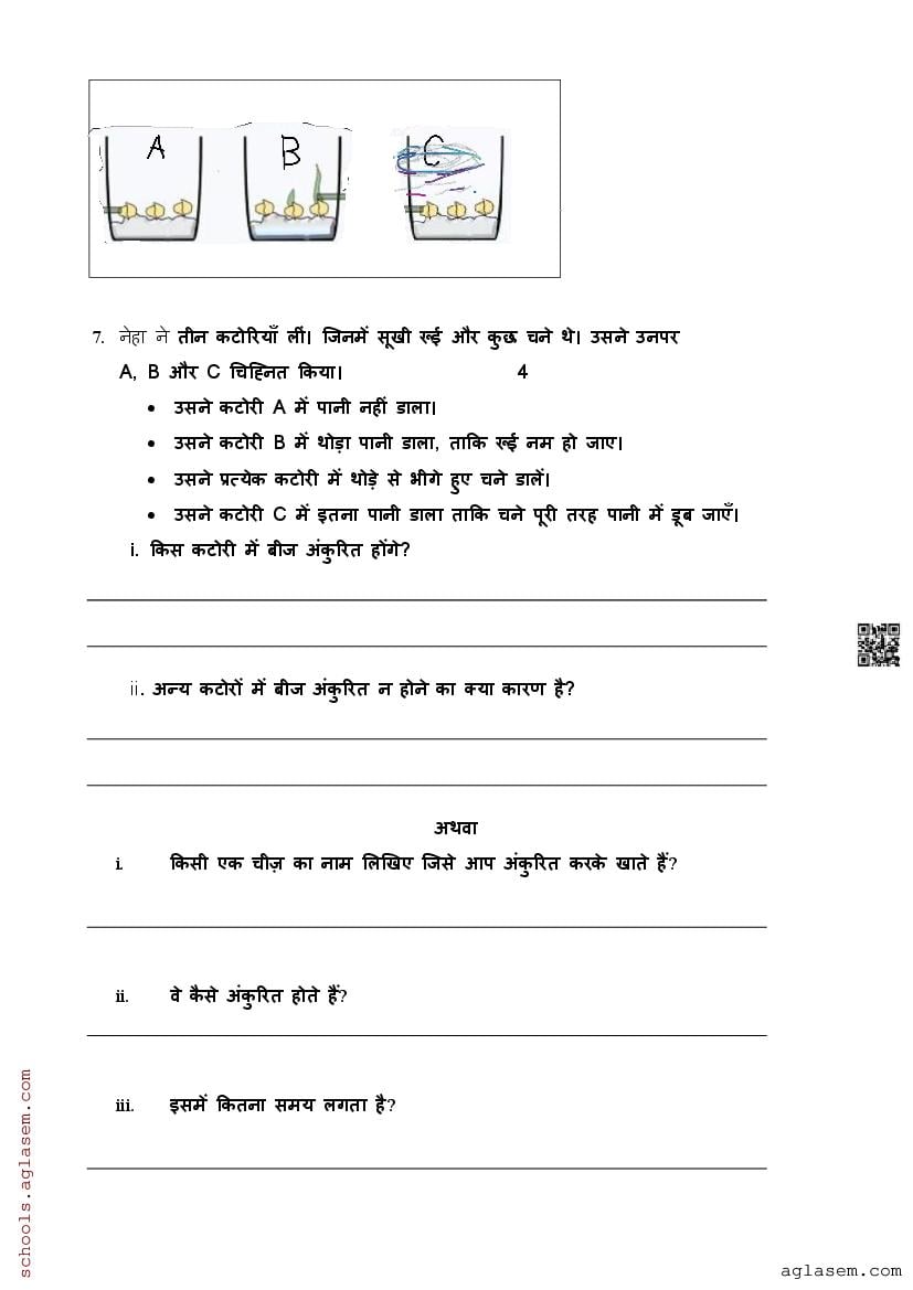 Class 5 EVS Mid Term Sample Paper 2025 PDF | Download PT1 / Term 1 ...