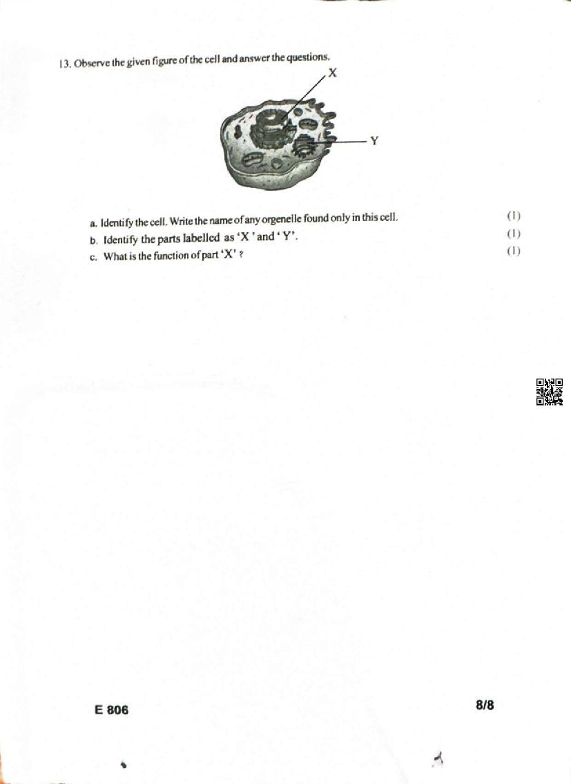 Class 8 Biology Onam Exam Question Paper 2024-25 | Kerala Std 8 First ...