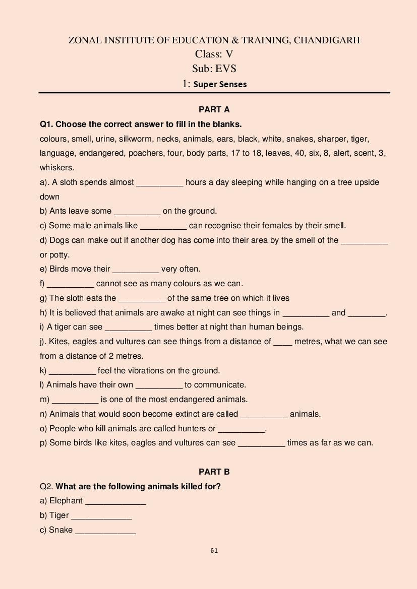 Class 5 All Subjects Competency Based Questions 2025 - Download PDF ...