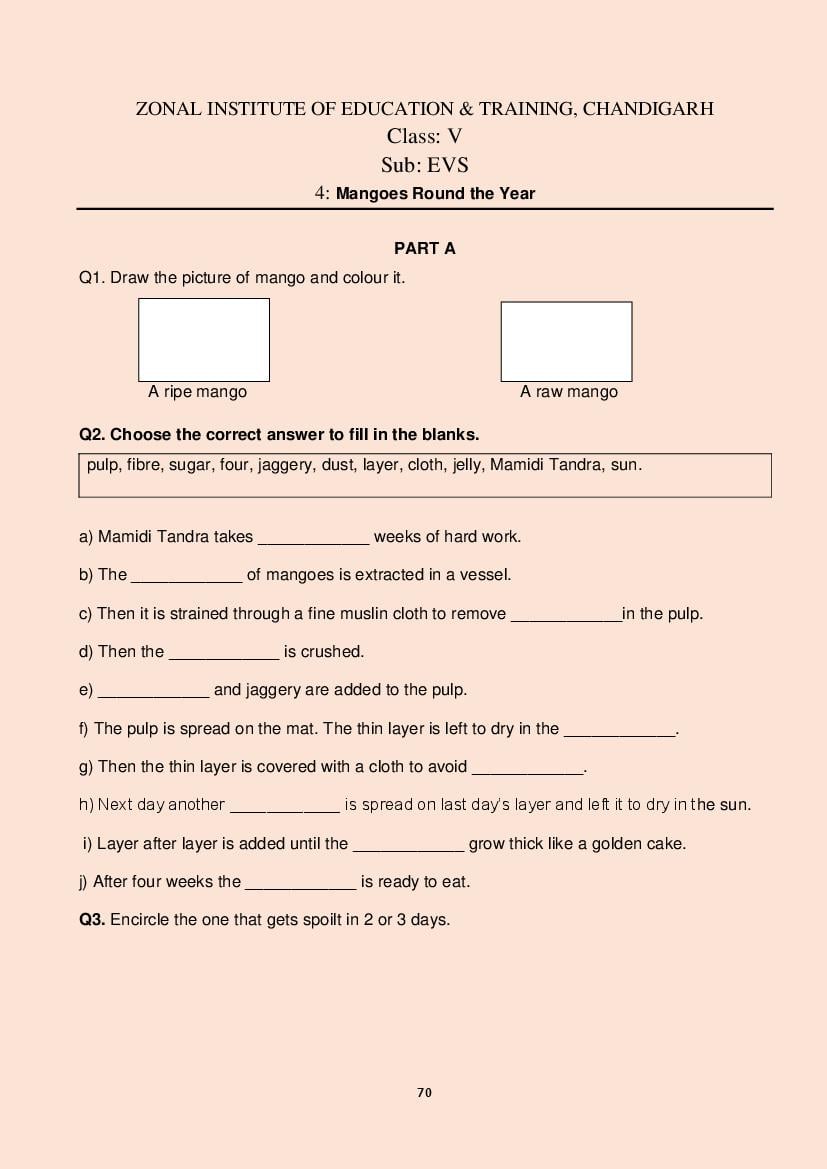Class 5 All Subjects Competency Based Questions 2025 - Download PDF ...