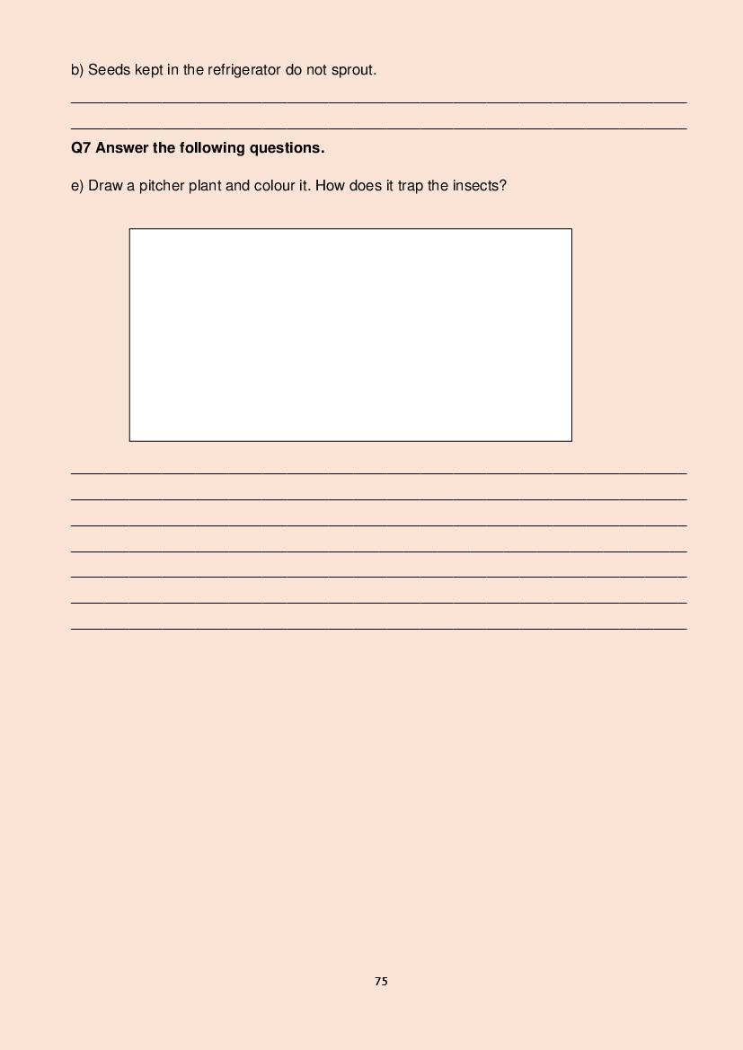 Class 5 All Subjects Competency Based Questions 2025 - Download PDF ...