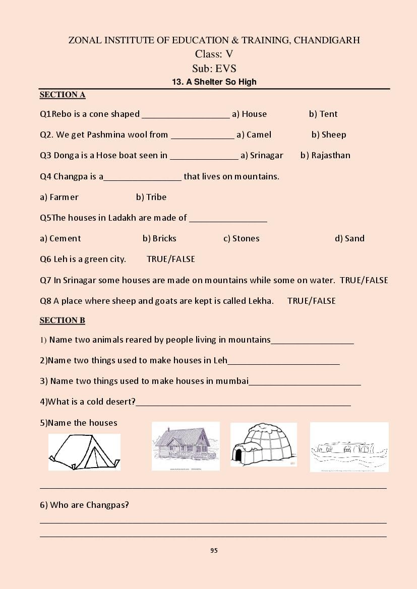 Class 5 All Subjects Competency Based Questions 2025 - Download PDF ...