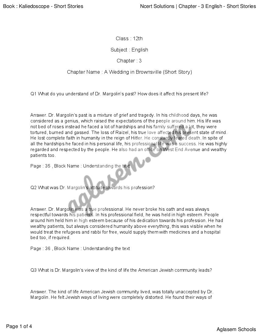 NCERT Solutions For Class 12 English Chapter 3 A Wedding In Brownsville
