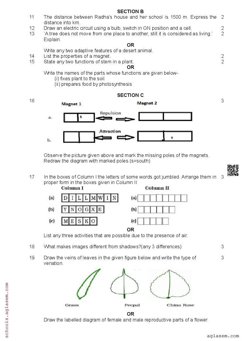 Class 6 Science Question Paper 2024 PDF Download 6th Annual Exam