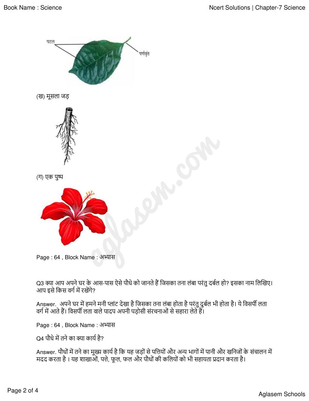 NCERT Solutions Class 6 Science Chapter 7 NCERT Solutions Class 6 Science Chapter 7