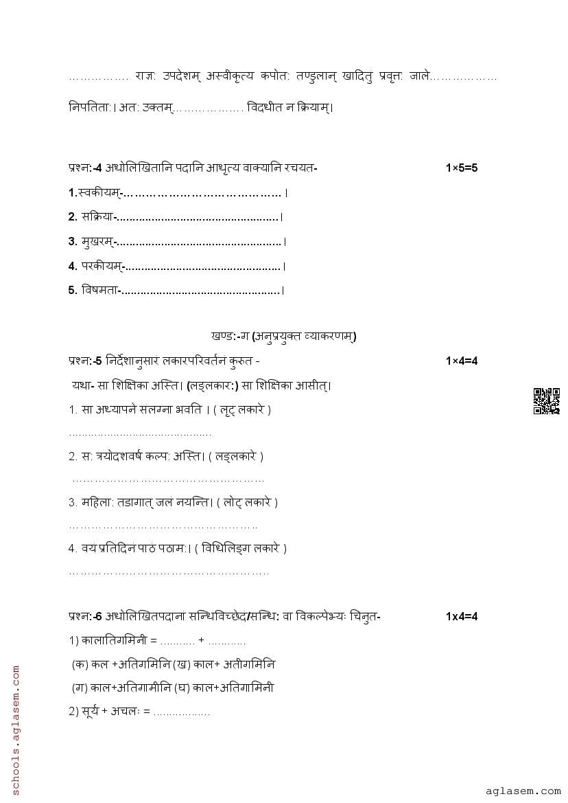 Class 8 Sanskrit Question Paper 2024 (PDF) - Download 8th Annual Exam ...