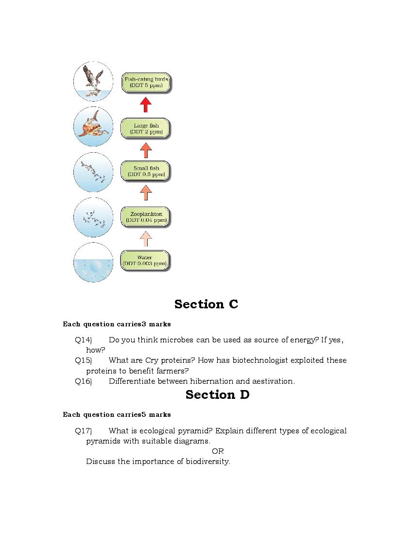 PSEB 12th Model Test Paper 2022 for Biology | Sample Paper