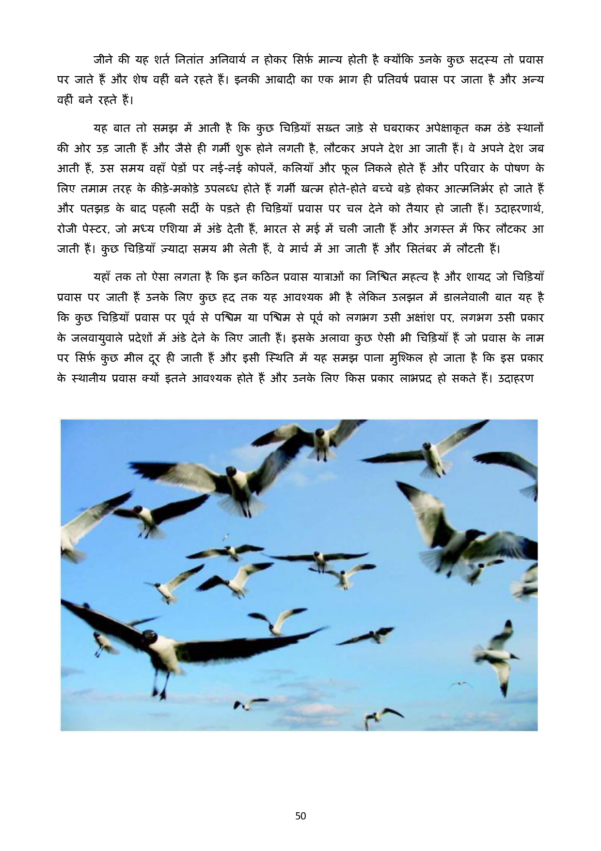 CG Board Class 8 Hindi Book PDF Download Chhattisgarh Board Textbook