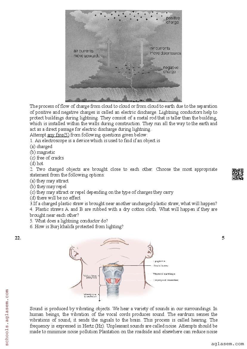 Class 8 Science Question Paper 2024 (PDF) - Download 8th Annual Exam ...