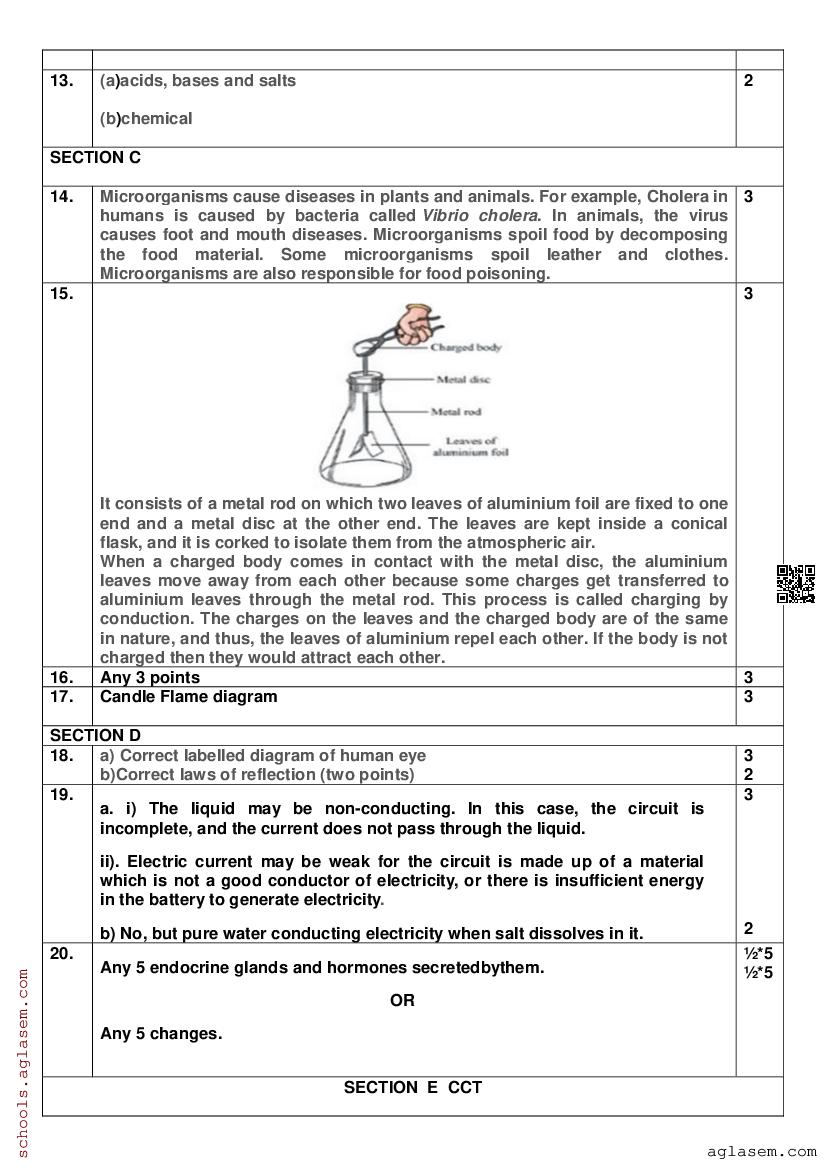 Class 8 Science Question Paper 2024 (PDF) - Download 8th Annual Exam Science Question Paper ...