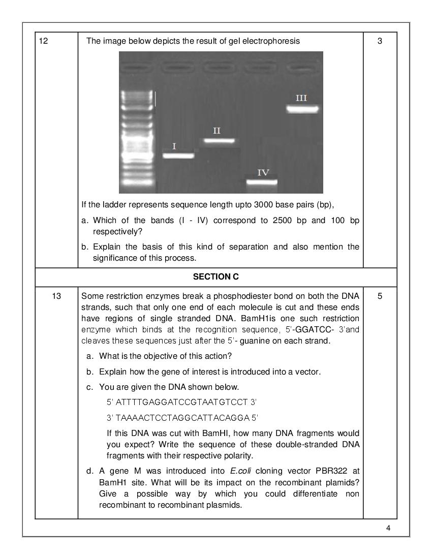 CBSE Sample Paper 2022 Class 12 Biology - Term 2, Term 1 PDF Download