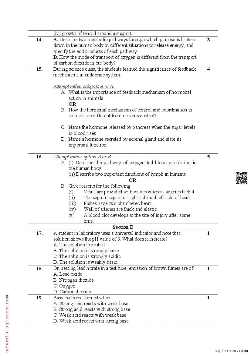 Class 10 Science Mid Term Sample Paper 2025 PDF | Download PT1 / Term 1 ...