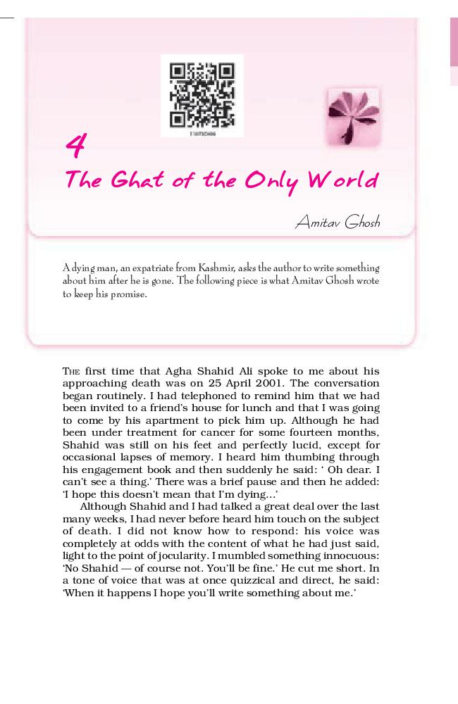 CBSE Class 11 English Snapshots Chapter 4 Albert Einstein At School