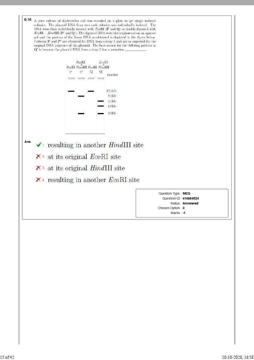 NEST 2020 Question Paper (PDFs) - AglaSem Admission