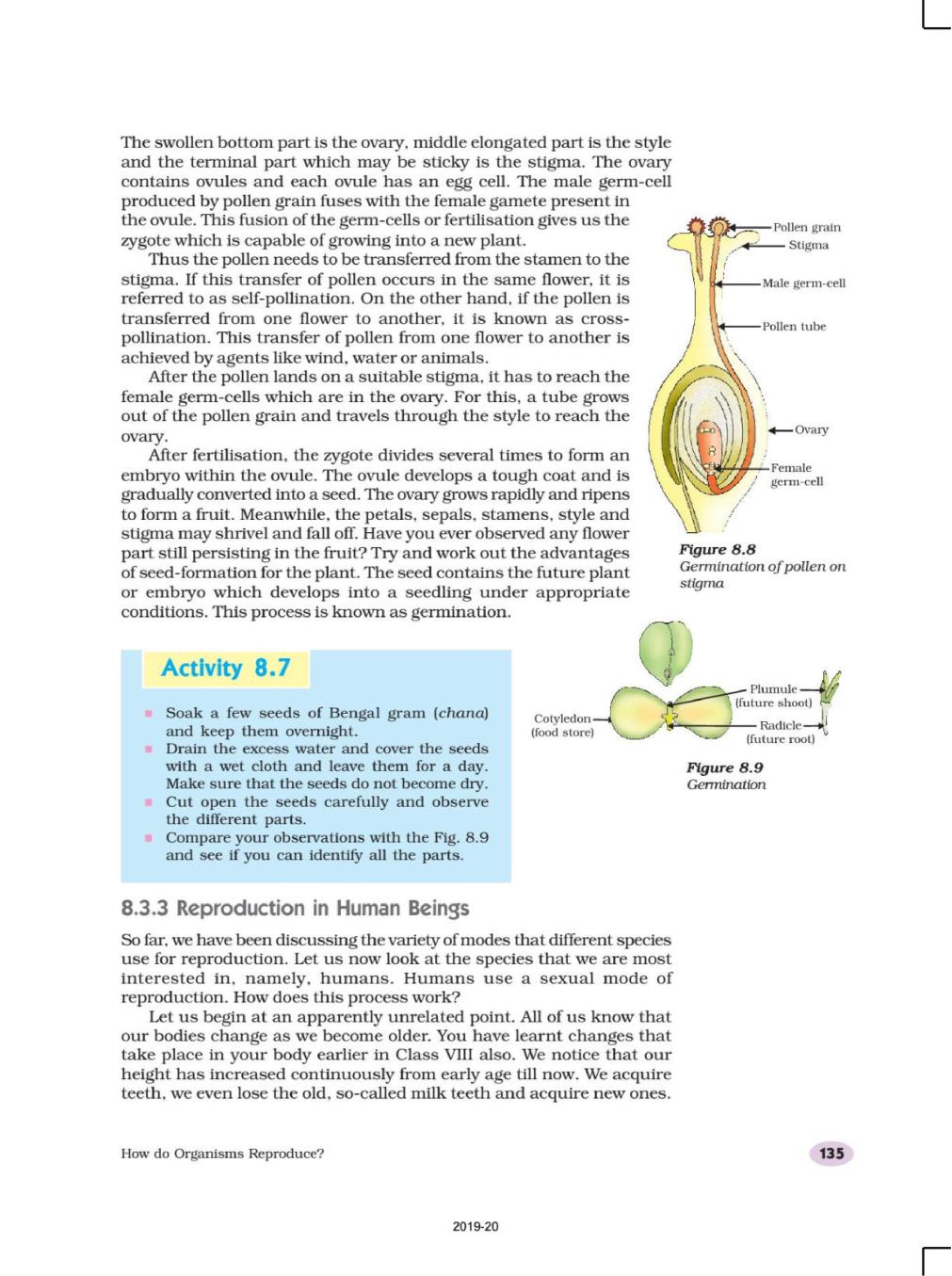 NCERT Book Class 10 Science Chapter 8 Heredity And Evolution 2024 25