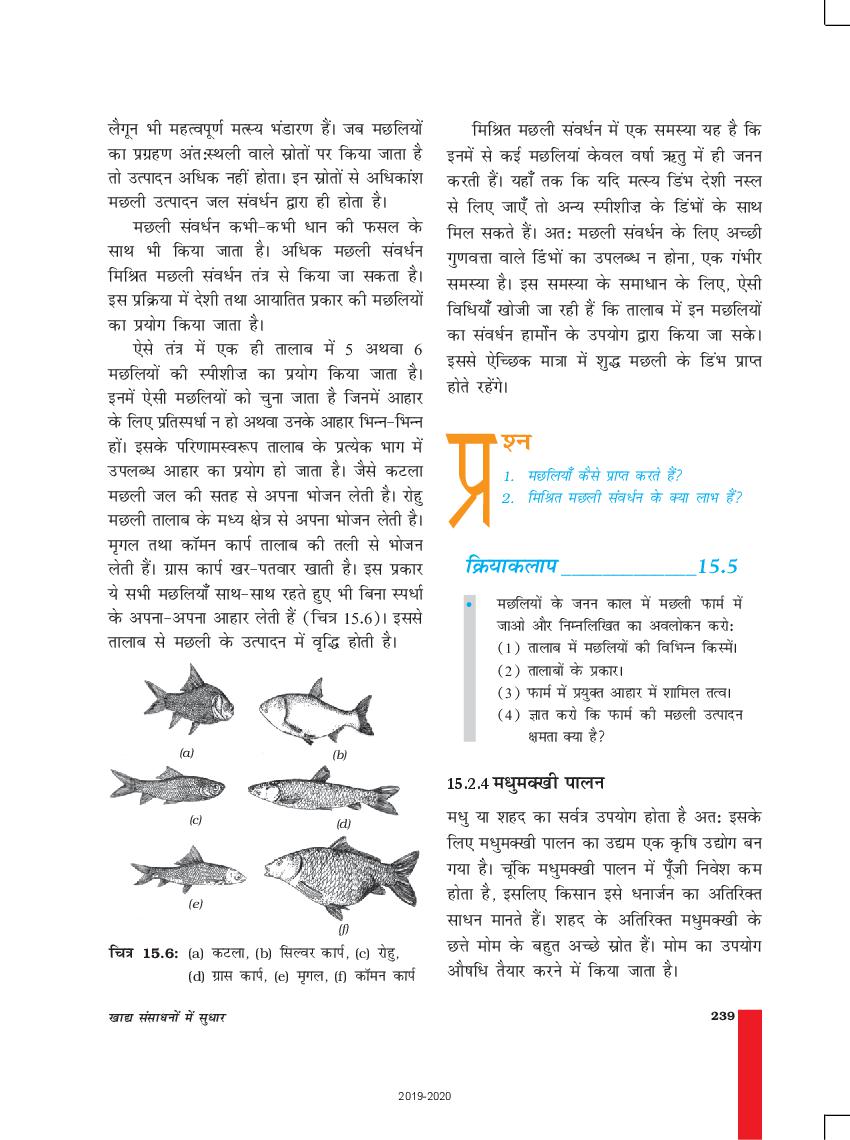 RBSE Book Class 9 Science (विज्ञान) Chapter 15 खाद्य संसाधनों में सुधार - Hindi, English Medium ...