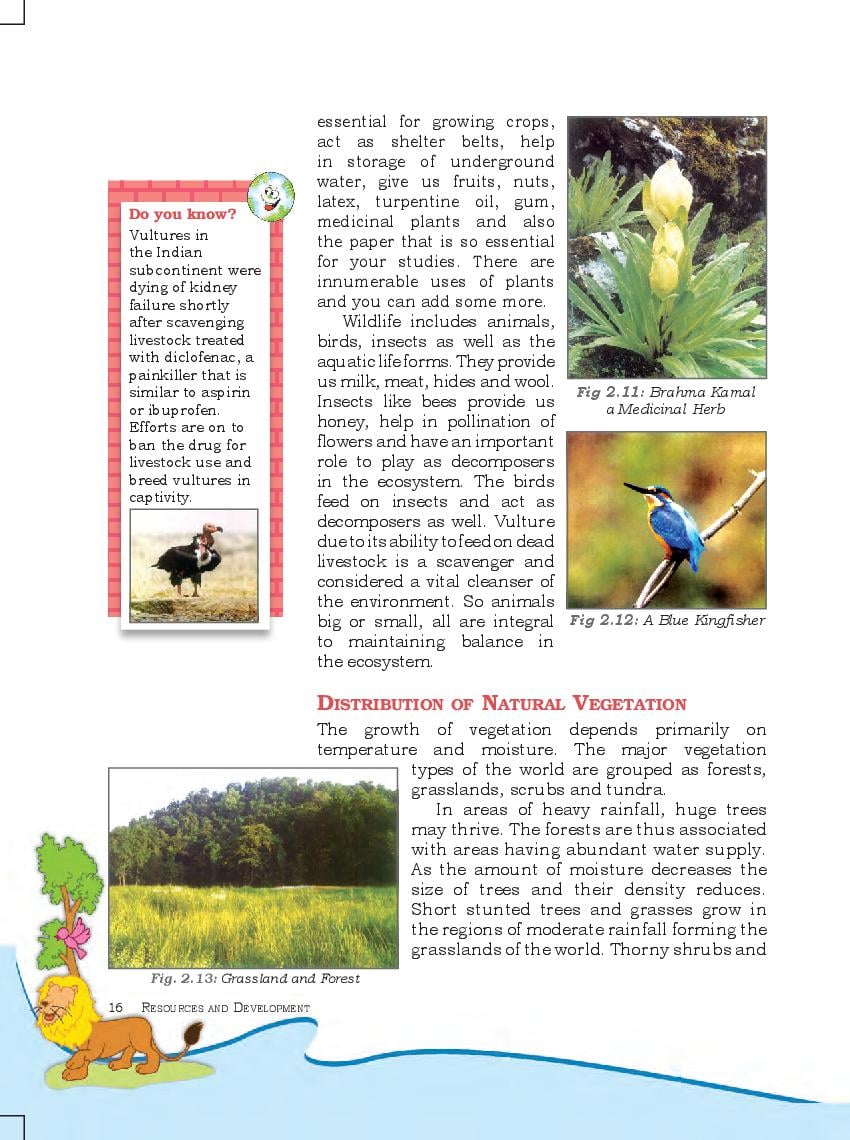 CGBSE Class 8th SST Geography Book PDF in English Medium - Download ...