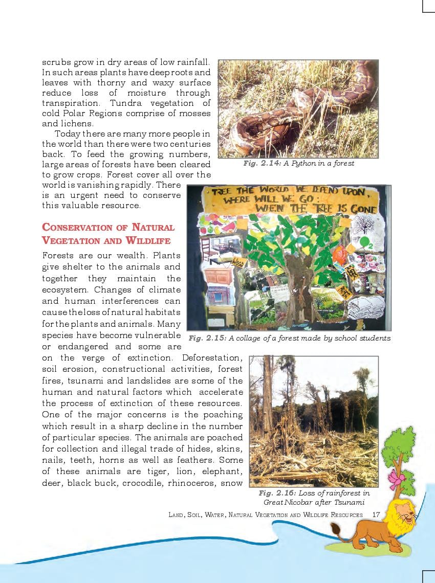 CGBSE Class 8th SST Geography Book PDF in English Medium - Download ...