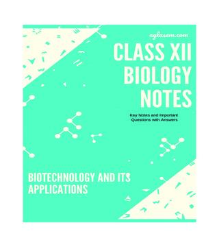 Class 12 Biology Notes for Biotechnology and its Applications