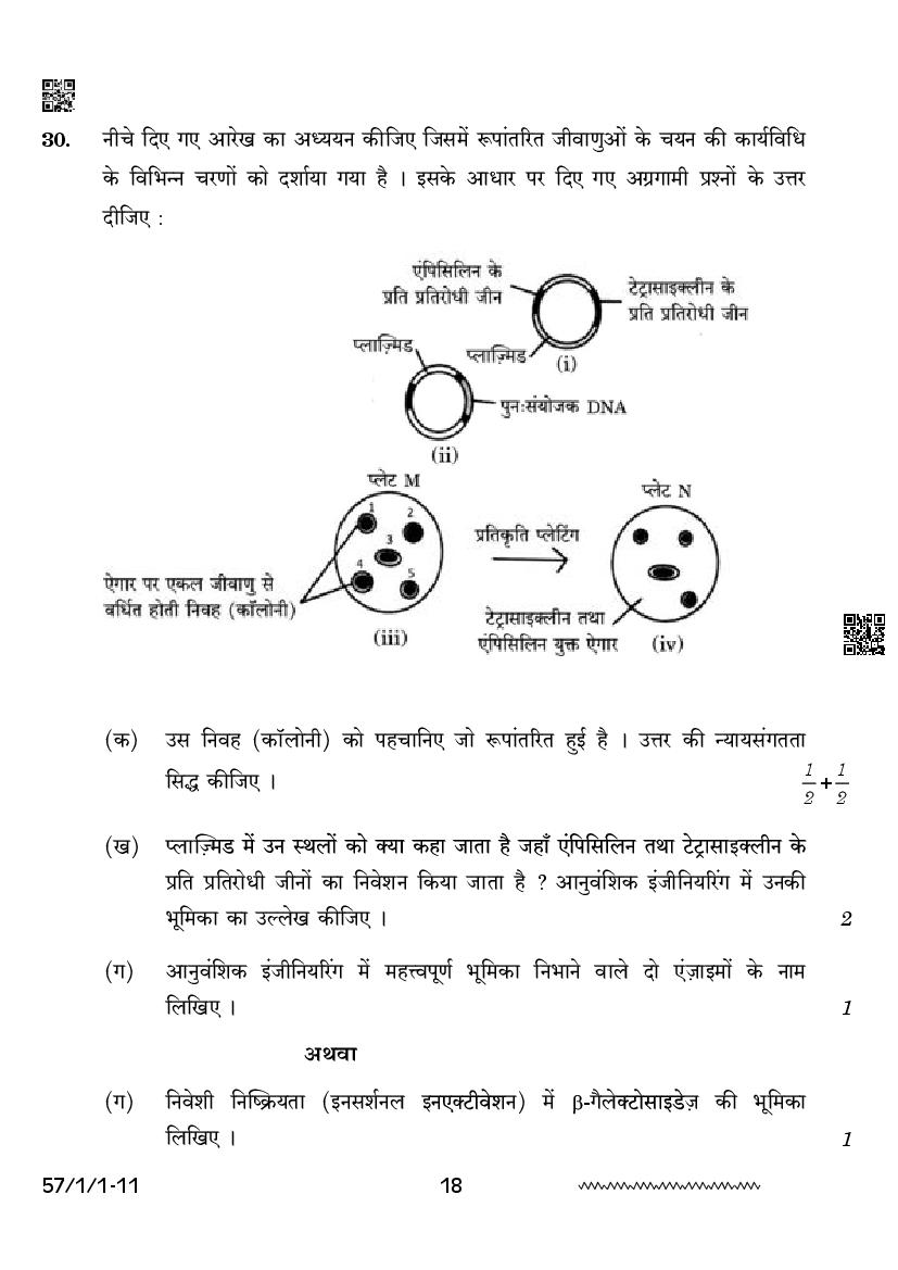 Class 12 Biology Question Paper 2024 (PDF) - Download 12th Annual Exam ...