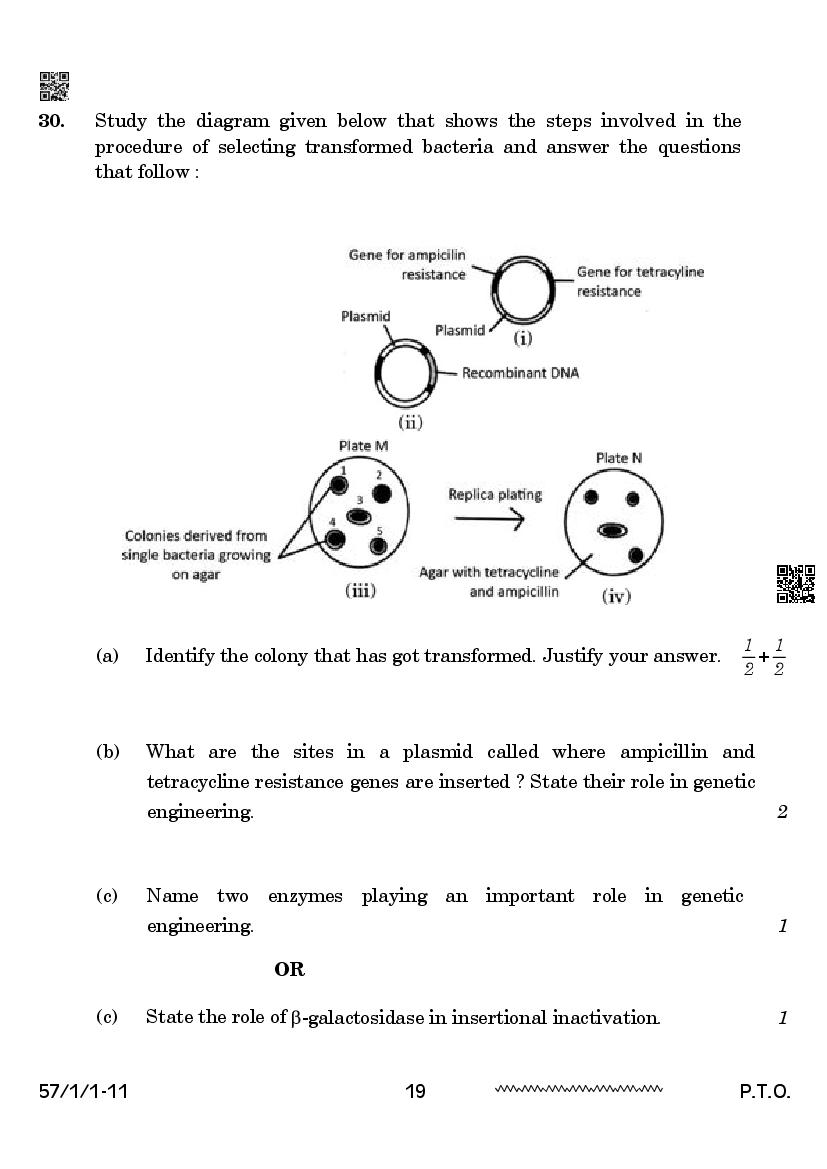 Class 12 Biology Question Paper 2024 (PDF) - Download 12th Annual Exam ...