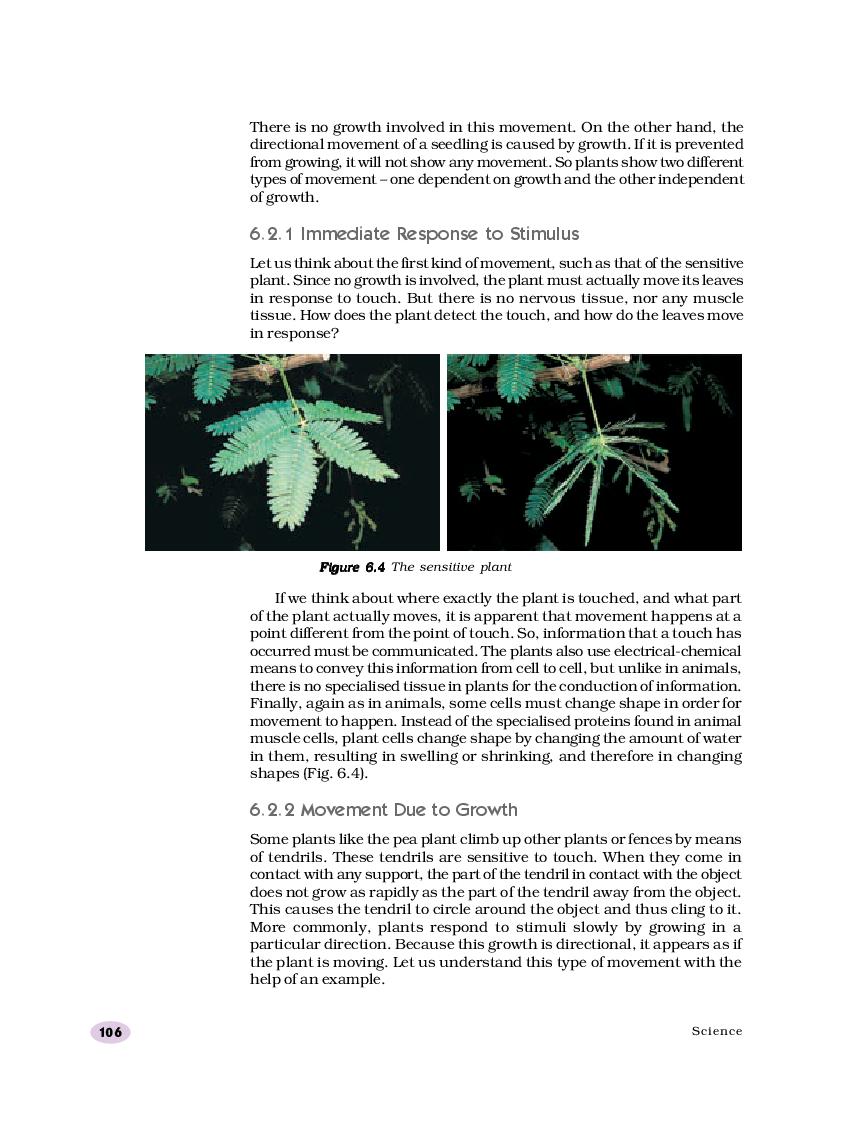 NCERT Book Class 10 Science Chapter 6 Control And Coordination PDF NCERT Book Class 10 Science Chapter 6 Control And Coordination PDF