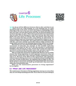 NCERT Book Class 10 Science Chapter 6 Life Processes