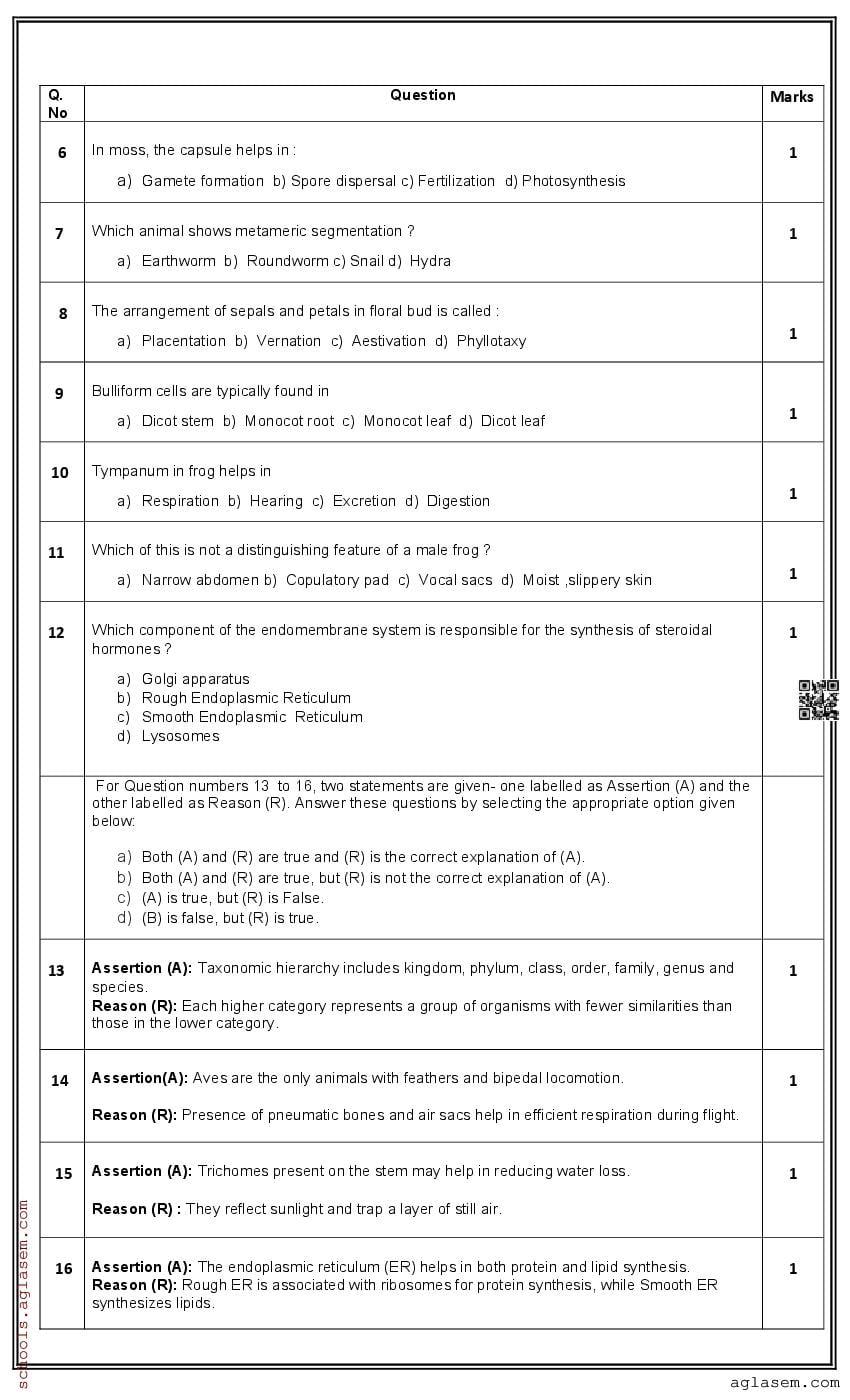 Class 11 Biology Mid Term Sample Paper 2025 PDF | Download PT1 / Term 1 ...