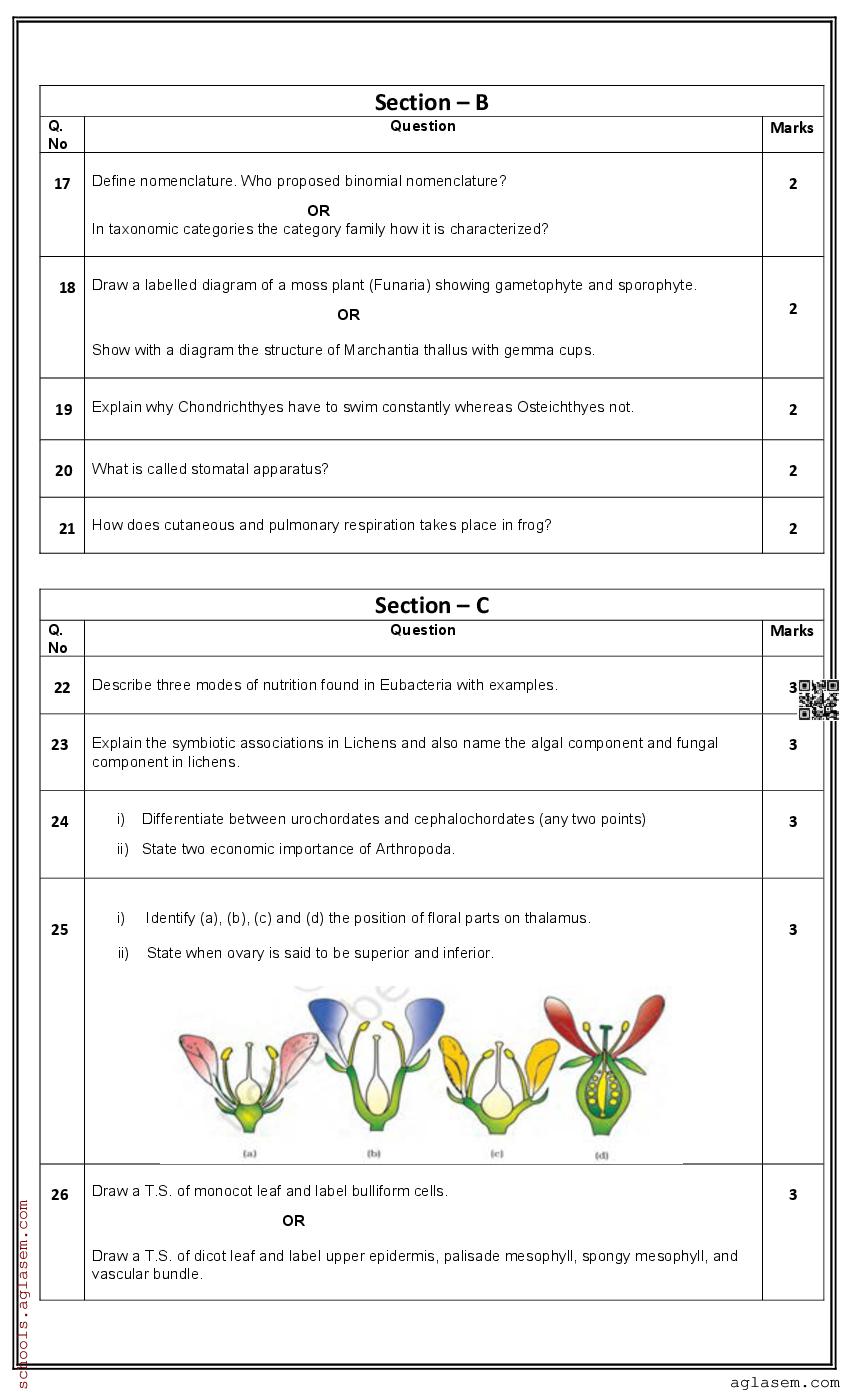 Class 11 Biology Mid Term Sample Paper 2025 PDF | Download PT1 / Term 1 ...