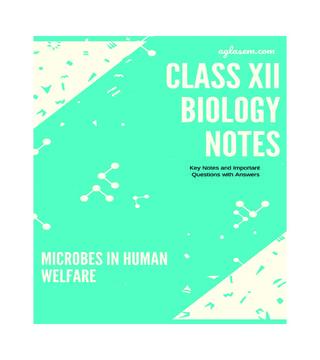 Class 12 Biology Notes for Microbes in Human Welfare