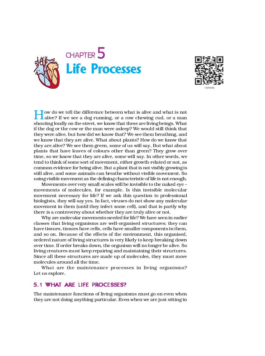NCERT Book Class 10 Science Chapter 5 Life Processes NCERT Book Class 10 Science Chapter 5 Life Processes
