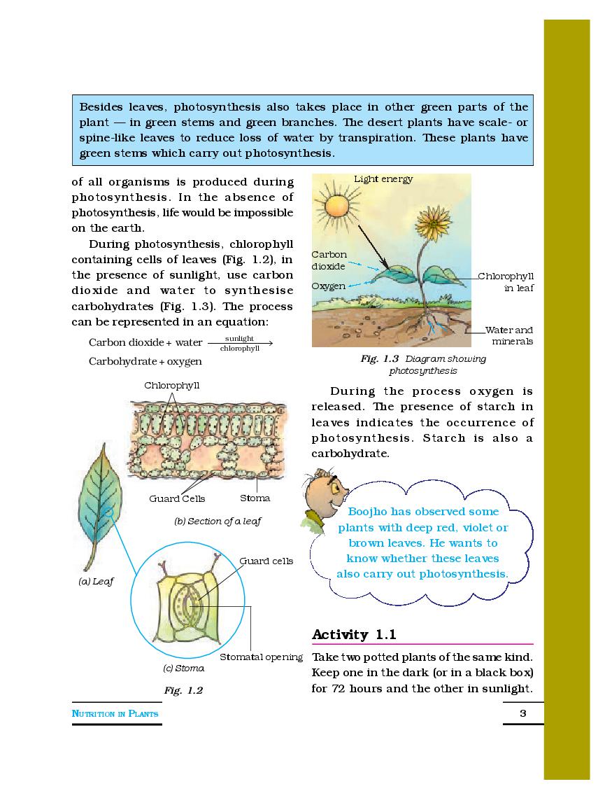 NCERT Book Class 7 Science Chapter 1 Nutrition In Plants AglaSem Schools