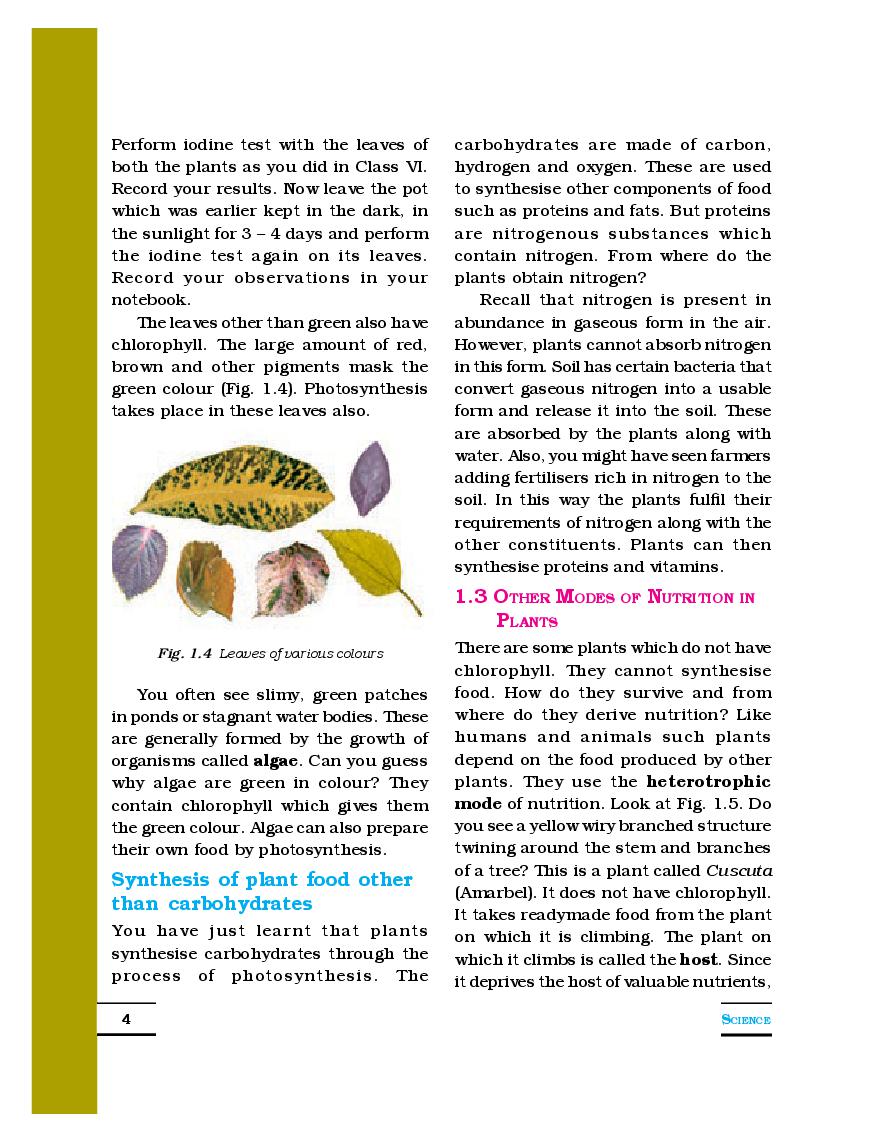 NCERT Book Class 7 Science Chapter 1 Nutrition In Plants PDF AglaSem