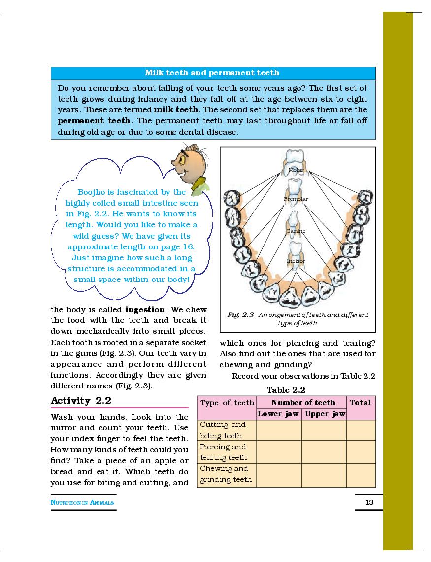 NCERT Book Class 7 Science Chapter 2 Nutrition In Animals AglaSem Schools