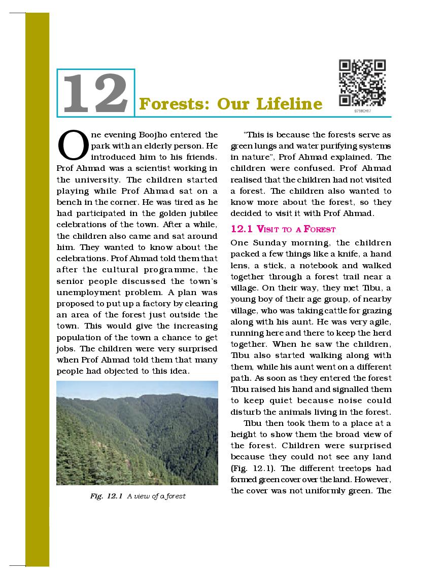 Cbse Class 7 Science Chapter 12 Reproduction In Plants Cbse Study Group 