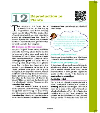 NCERT Book Class 7 Science Chapter 12 Reproduction in Plants