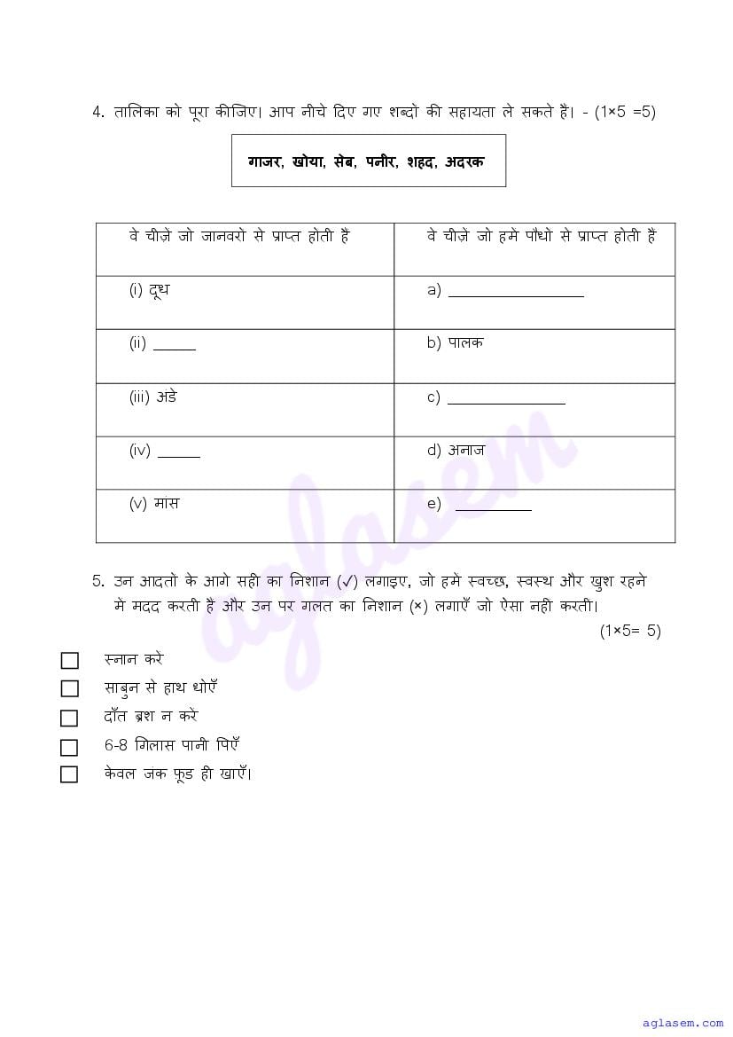 Class 3 EVS Sample Paper 2026 PDF - Download EVS Model Question Paper - AglaSem