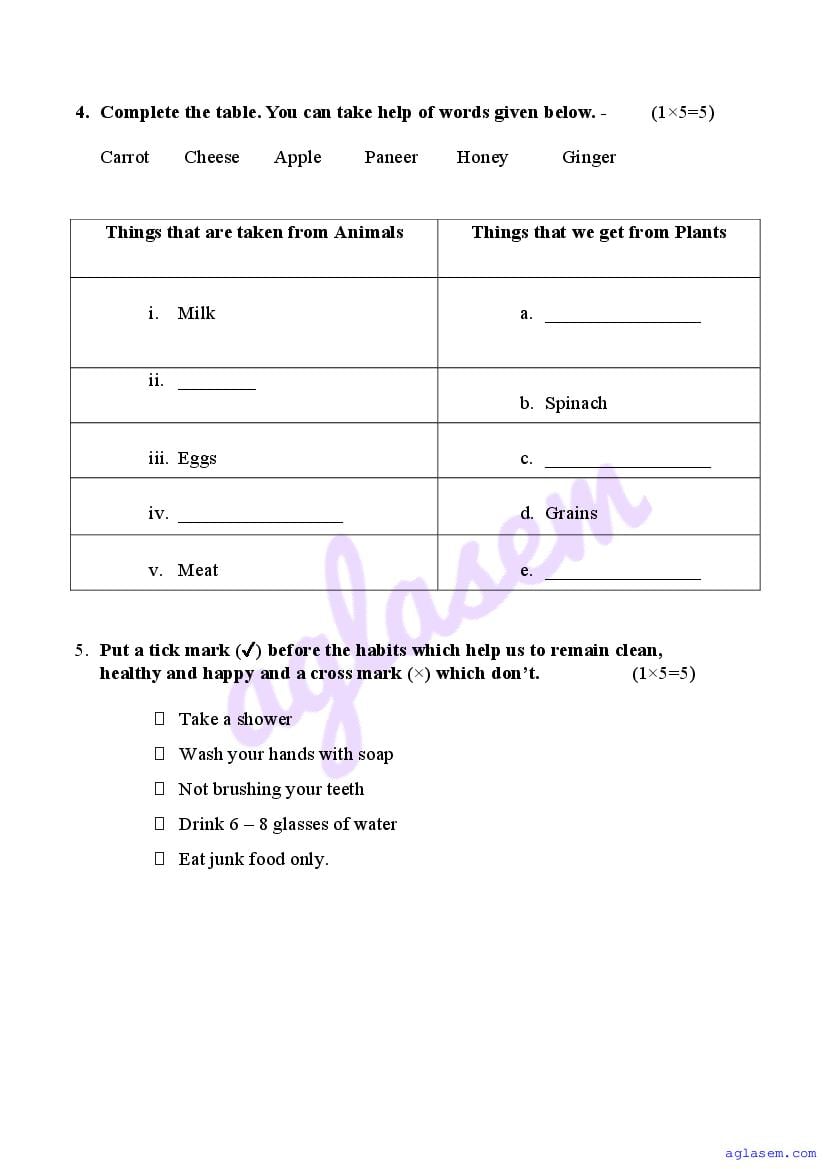 Class 3 EVS Sample Paper 2026 PDF - Download EVS Model Question Paper - AglaSem