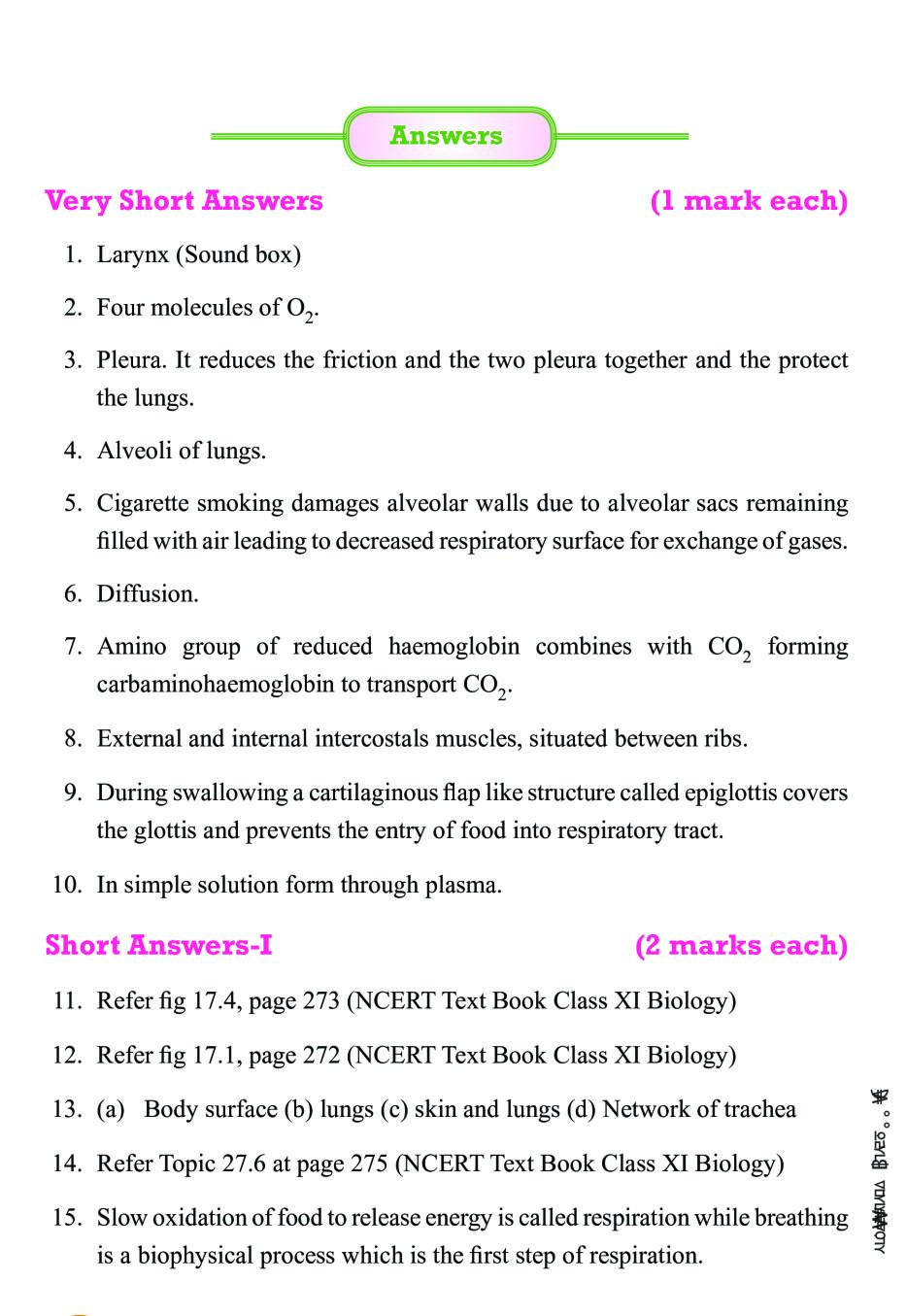 CBSE Notes Class 11 Biology Breathing And Exchange Of Gases CBSE Notes Class 11 Biology Breathing And Exchange Of Gases
