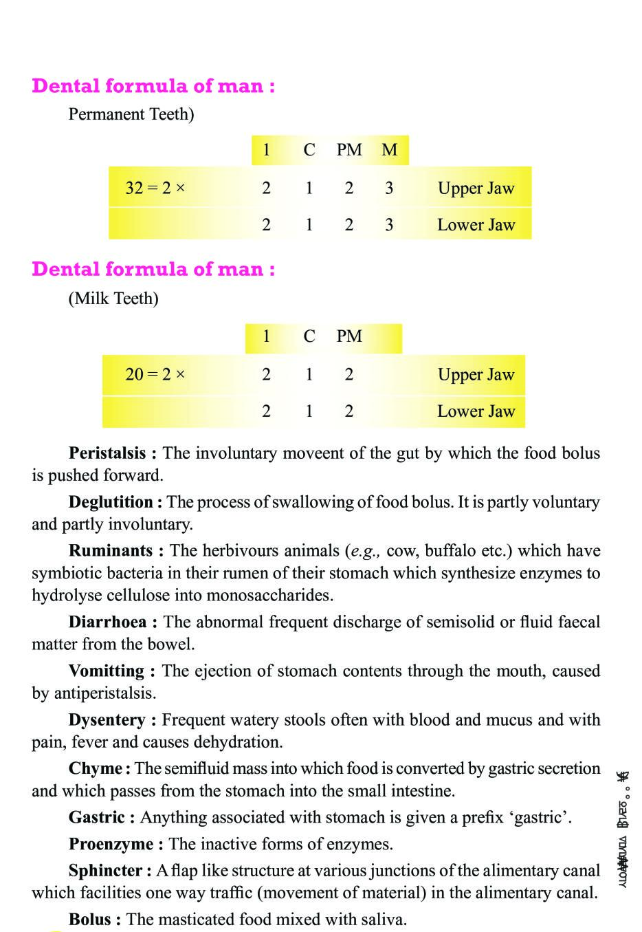 Digestion And Absorption Notes For Class 11 Biology PDF OneEdu24