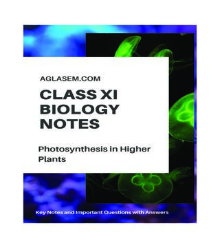 Class 11 Biology Notes for Photosynthesis in Higher Plants